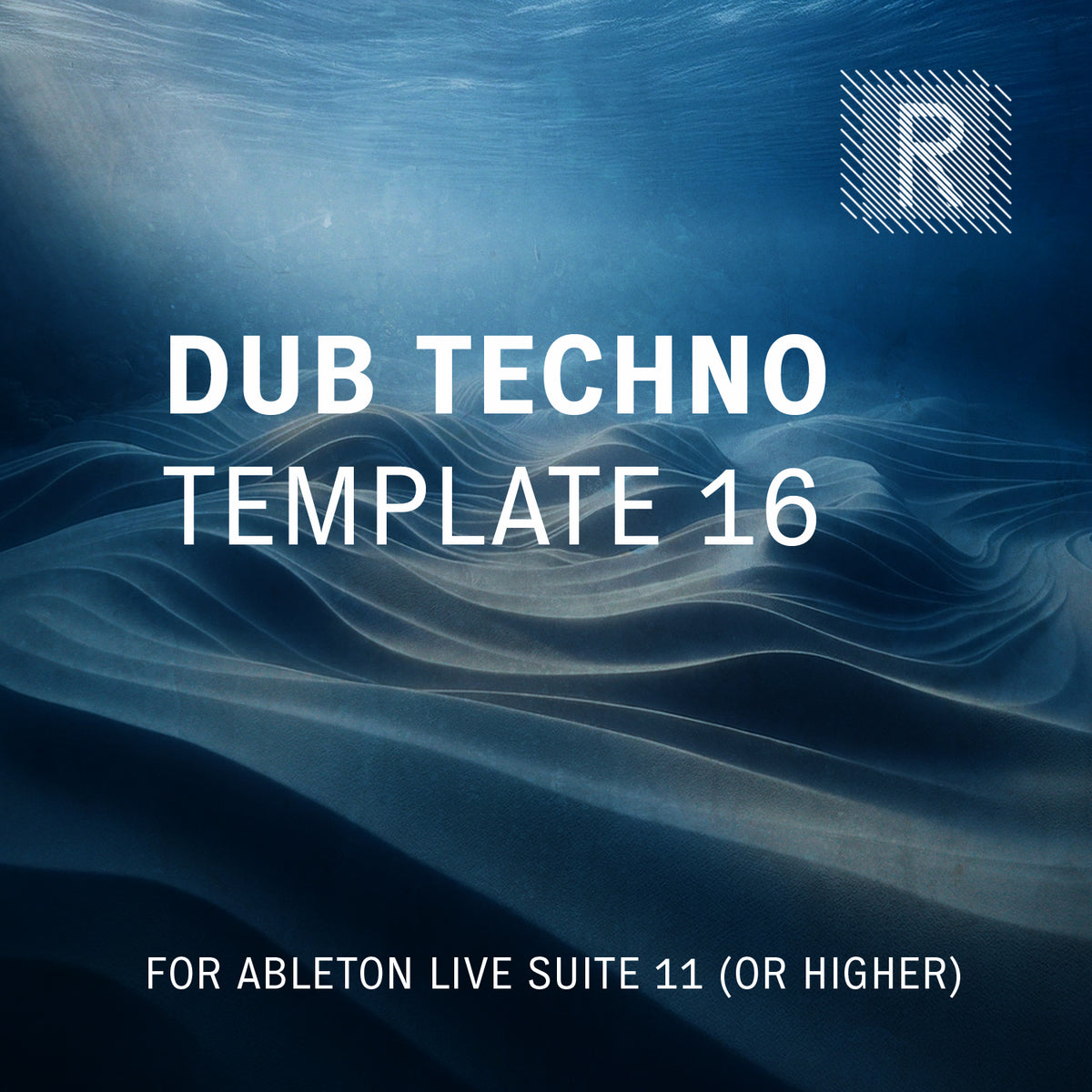 RiemannDubTechnoTemplate16Artwork_1200x1200.jpg?v=1722851817