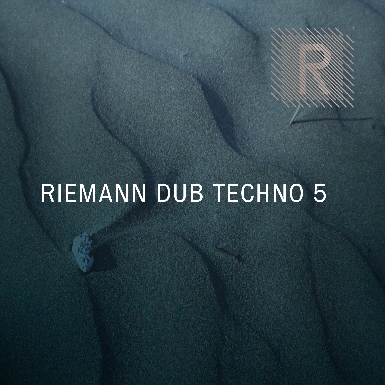 RiemannDubTechno5-coverartwork_1500x.jpg?v=1686693954